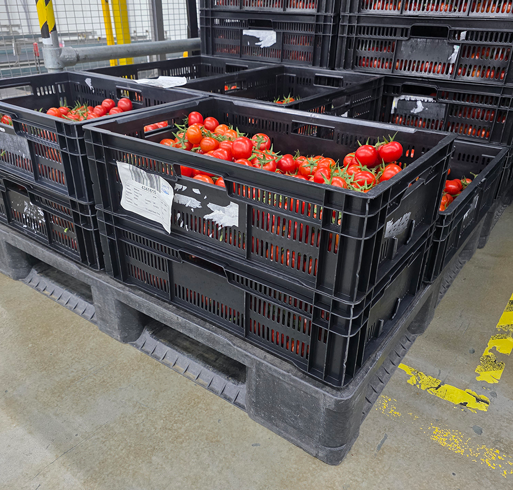 4 Real-World Food Processing Success Stories Using Plastic Pallets ...